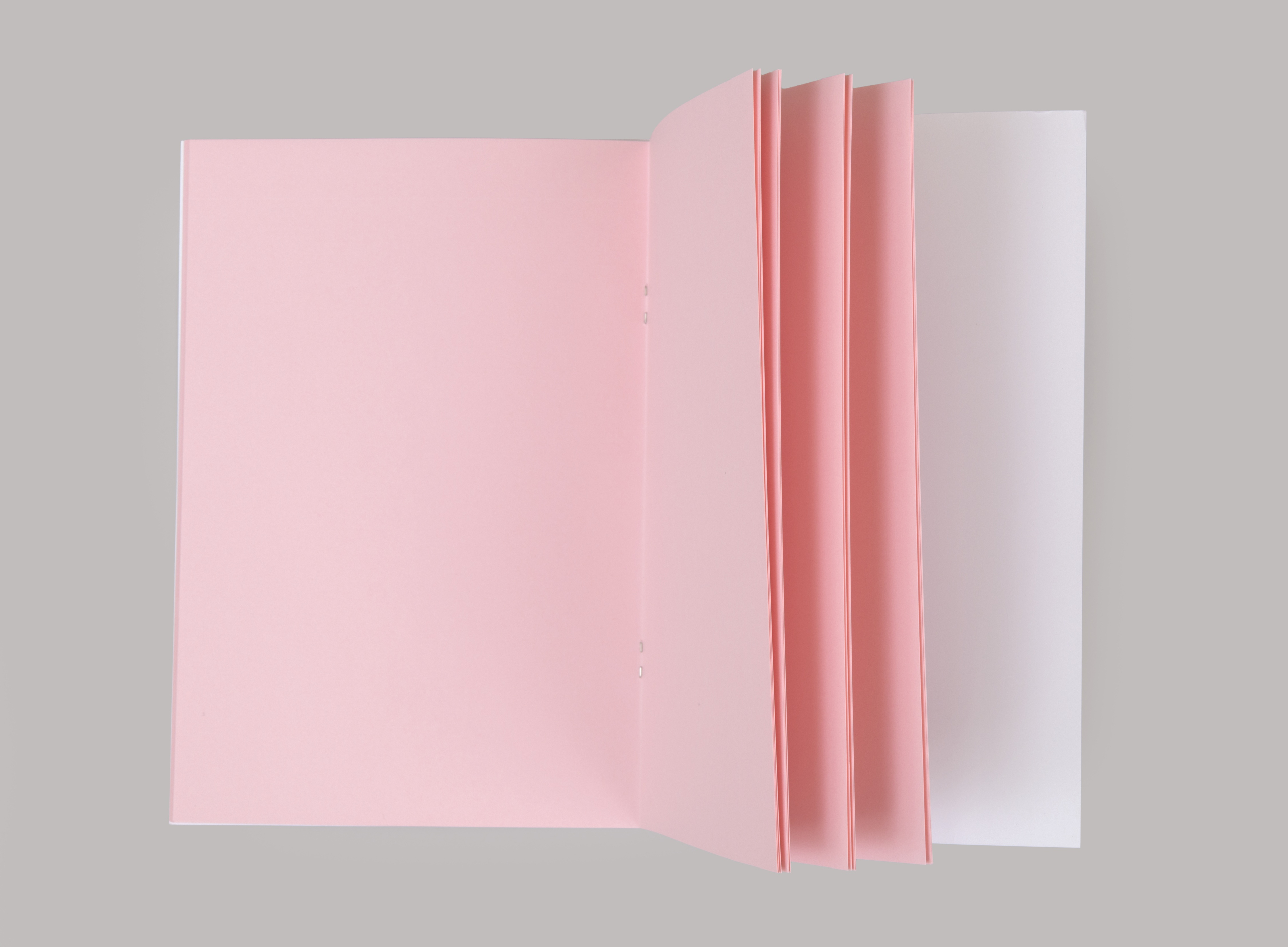 Zeszyt z fragmentem portretu Marii Klementyny Sobieskiej - Muzeum ...